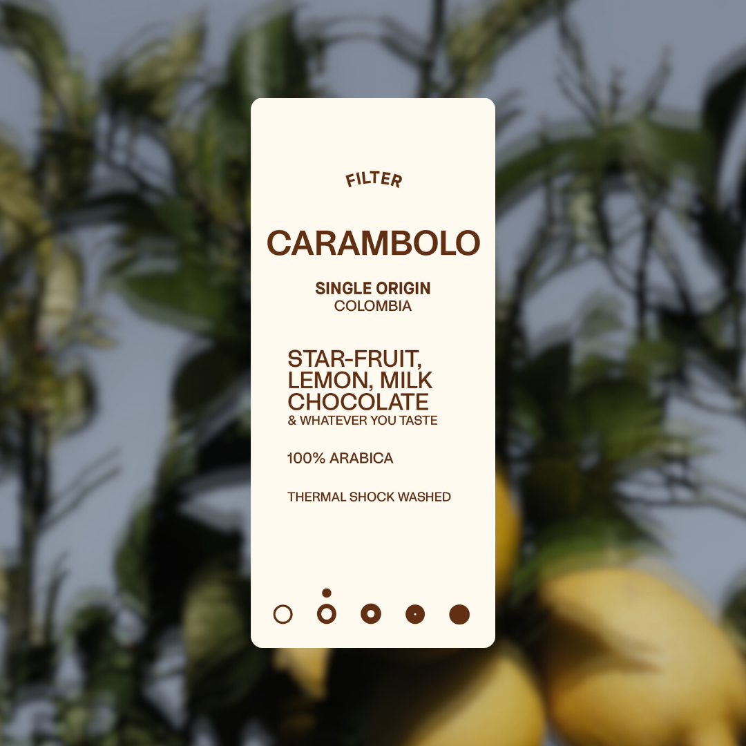 CARAMBOLO - Filter - B2B – CODOS COFFEE